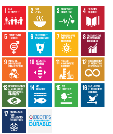 Objectifs de développement durable - Lumanisy